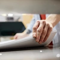 SFI, FSC, PEFC: How to Choose Sustainably Made Paper